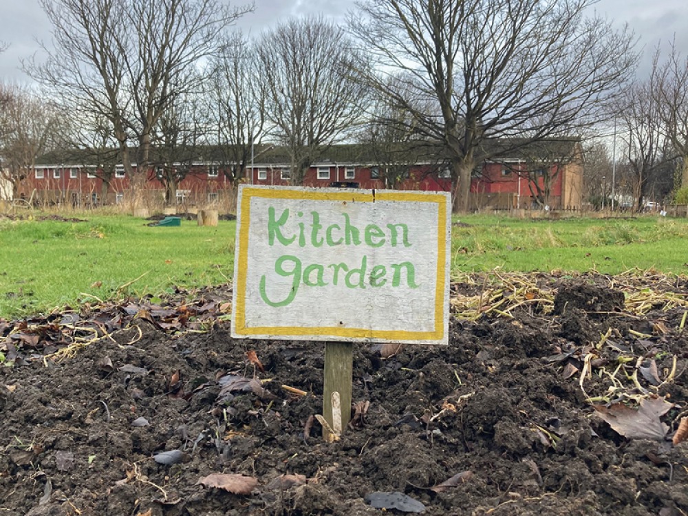 Read About the Comfrey Project, a Charity Using Allotments and Gardening to Help Asylum Seekers ...